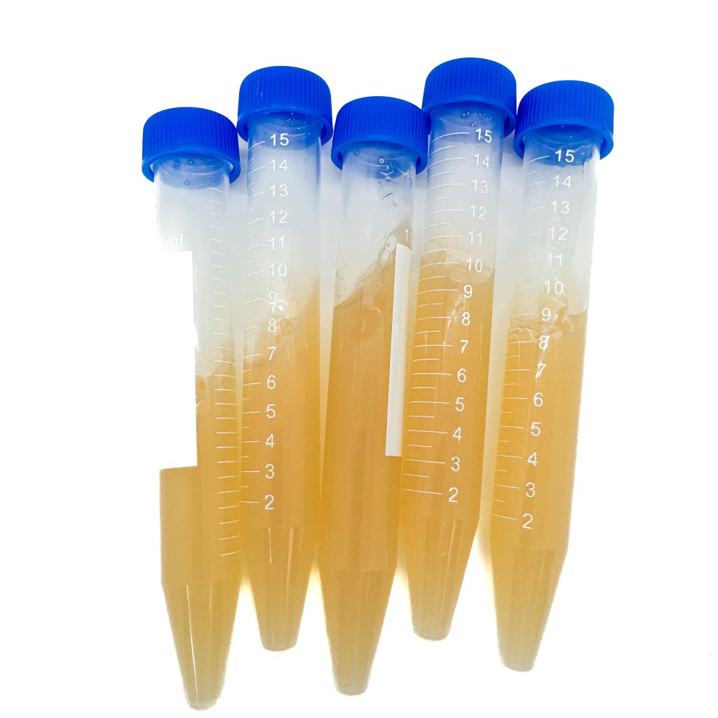 Pre-Poured Agar Culture Slants- Sterile & Great For Storage
